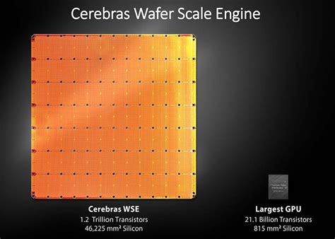 Wafer Scale Engine 一人学際