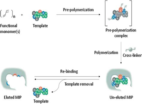 diagram illustrating the creation of mips reproduced from ref 53 with