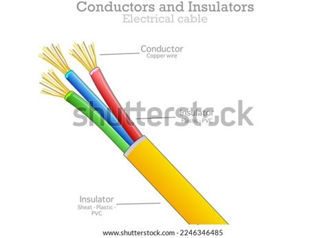 Conductors Insulators Electrical Cable Anatomy Metal Stock Vector