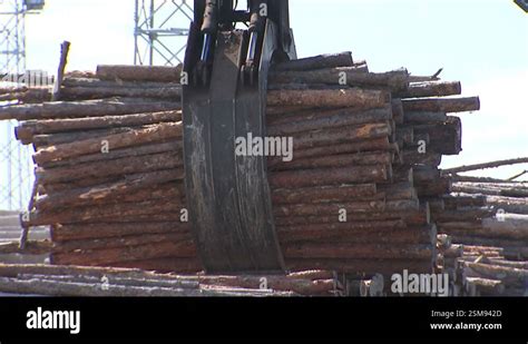 Firewood Logging Stock Videos And Footage Hd And 4k Video Clips Alamy