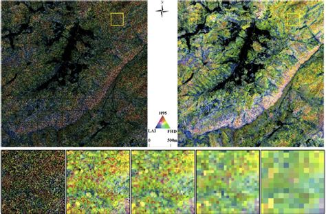 Spatial Patterns Of Morphological Traits At Individual Tree Top Left Download Scientific