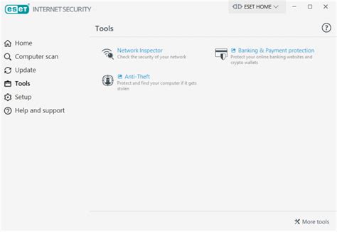 ESET Internet Security Antivirus Software