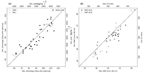 Coupling Process Based Models And Machine Learning Algorithms For