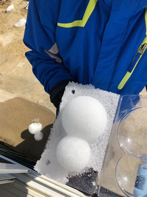 雪遊び みるスポ