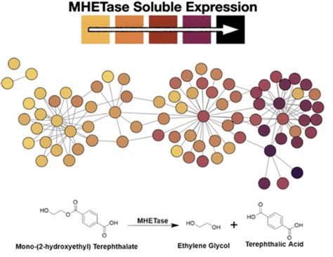 Increasing The Soluble Expression And Whole Cel