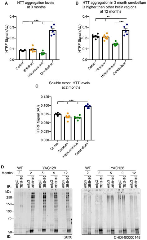 alternative processing of human htt mrna with implications for