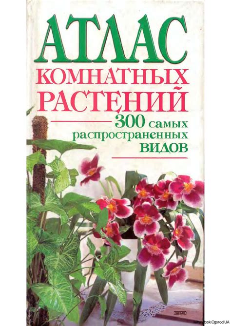 Энциклопедия Комнатных Растений С Фотографиями — Mixyfotos.ru