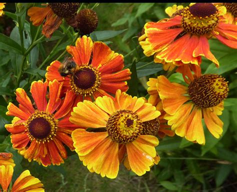 Flickriver Most Interesting Photos From Helenium Pool