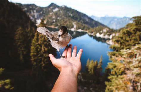 시사 키워드 인간과 자연의 조화로운 상생
