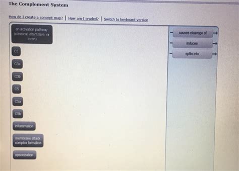 Solved How To Create A Concept Map Design A Concept Map Chegg Com