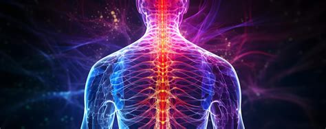 인간의 척추의 해부학을 보여주는 의료 디지털 일러스트레이션 개념 의료 일러스트래션 인간 해부학 척추 척추 디지털 예술 교육 콘텐츠 프리미엄 Ai 생성 이미지