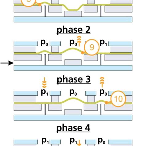 Schematic View Of A Multilayer Based Microfluidic System Basic Chip Download Scientific