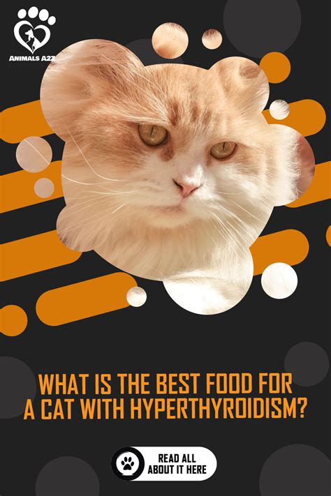 Hyperthyroidism In Cats Diet
