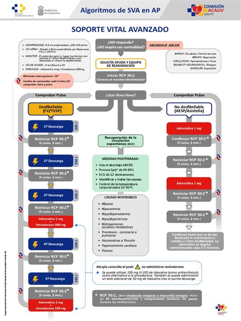 Algoritmos Sva Pdf Reanimación Cardiopulmonar Especialidades Medicas