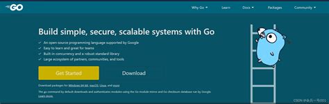 go语言安装教程 CSDN博客