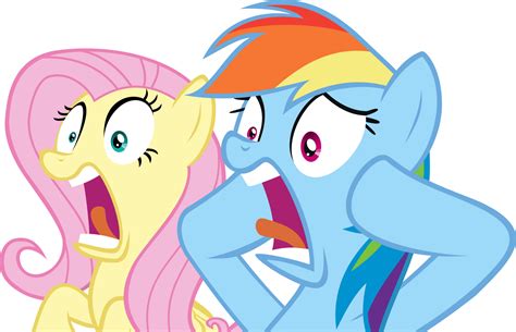 Fluttershy And Rainbow Dash Shocked By Spyro4287 On DeviantArt