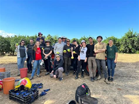 Dana Kotler On Linkedin יום התנדבות בקטיף בגליל ים כל הכבוד לקוטפים ולקוטפות שיצאו לקטוף פומליות