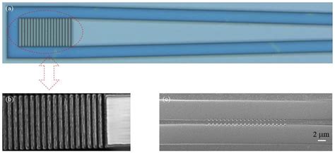 The structure characterizations for the fabricated LNOI devices. (a ...