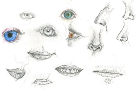 Drawing For Animation Creative Sketchbook Facial Features Poses