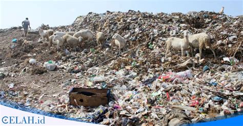 Jombang ÃƒÂ¢Ã¢â€šÂ¬Ã‹Å“dikepungÃƒÂ¢Ã¢â€šÂ¬Ã¢â€žÂ¢ Sampah Sehari Produksi 570 Ton Celahid