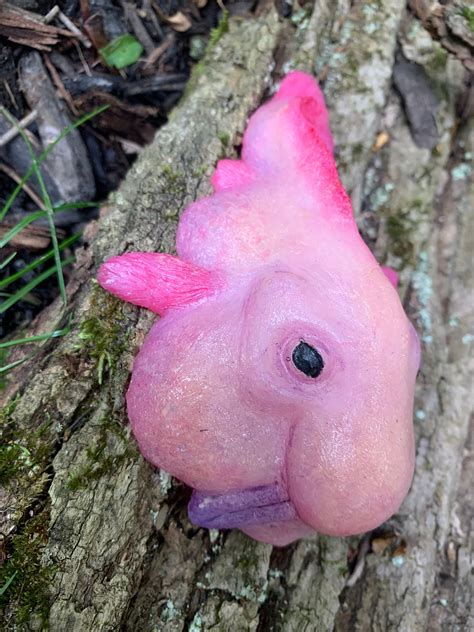 Silicone Blob Fish Squishy Fishy Stress Relief Etsy