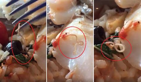 Woman Finds Moving Worm In Expensive Cod Dish During Birthday Dinner