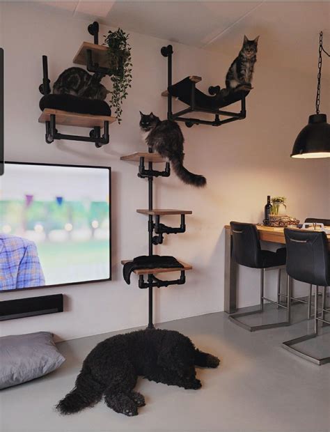 Pin By Devon Lindsey On Grown Up Daydreams Cat Room Decor Dog Room