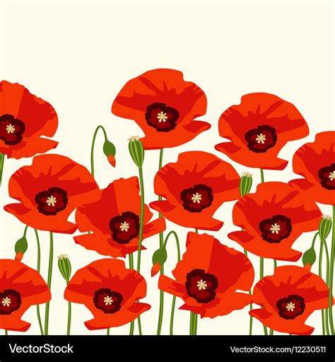 Poppy Flowers Royalty Free Vector Image Vectorstock
