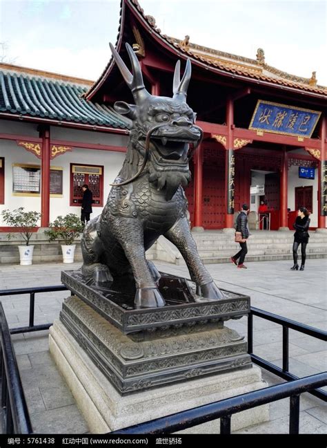 麒麟高清图片下载 红动中国