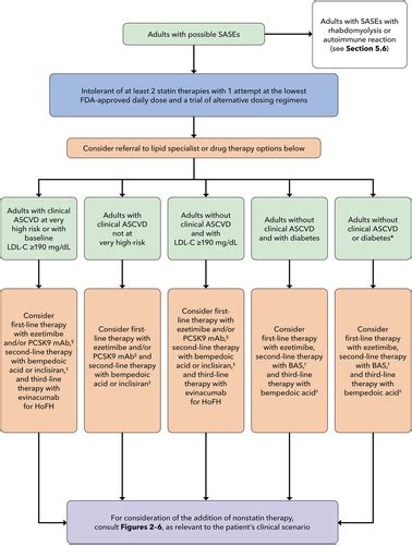 2022 Acc Expert Consensus Decision Pathway On The Role Of Nonstatin