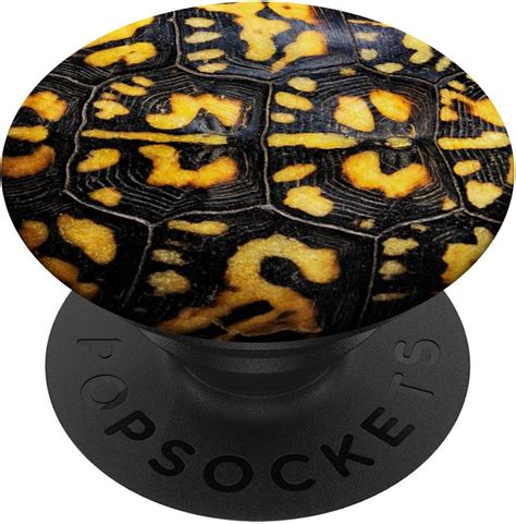 Cool Turtle Shell Designs