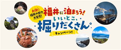 【公式】福井県 観光旅行サイト ｜ ふくいドットコム