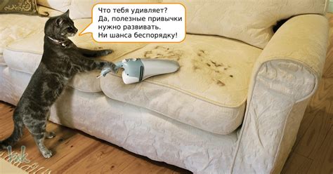 8 привычек для поддержания чистоты Howkit Club