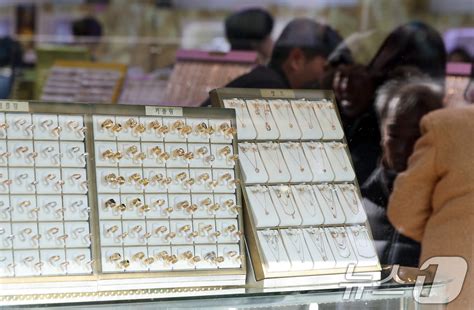 계엄사태에 투자자들 안전자산으로 몰렸다 뉴스1