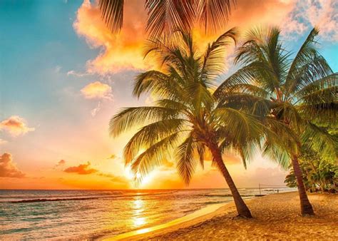 Sandy Beach Sunset Sea Summer Photo Backdrop Ga 45 Dbackdrop