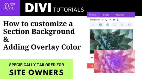 How To Customize A Section Background And Add Overlay Colour Divi