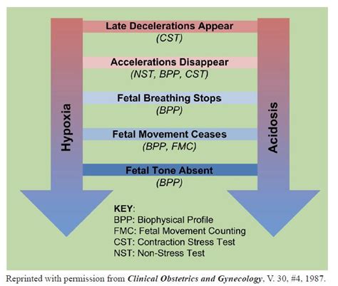Biophysical Profile BPP Member Login Oakes Academy