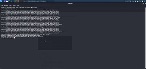 Not Showing Up · Issue 198 · Drk1wi Modlishka · Github