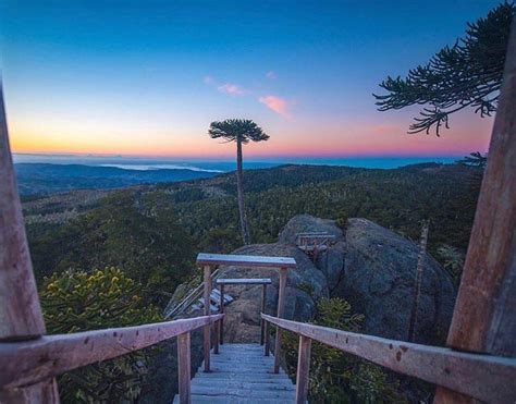 📍 Parque Nacional Nahuelbuta 📷 Fernando Gudenschwager Martini