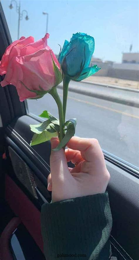 دنبال عکس پروفایل شیک 2024 هستی؟ با مضمون شاد غم برای دختر و پسر با