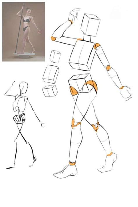 Figure Drawing Reference Photos References Square Anatomy