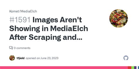 images aren t showing in mediaelch after scraping and saving a group of