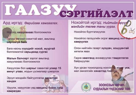 Мал амьтнаас хүнд халдварладаг галзуу өвчнөөс сэргийлье