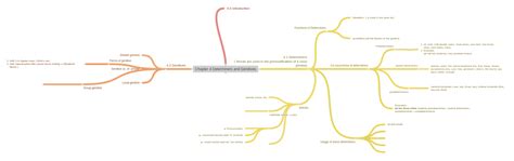 Chapter 4 Determiners And Genitives Coggle Diagram