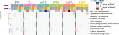 Hierarchical Clustering Of The Significantly Enriched Metabolic