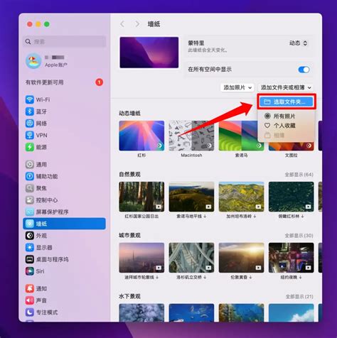 Mac 循环显示壁纸：如何设置 Mac 自动轮换桌面背景图【图文教程】 志阳博客