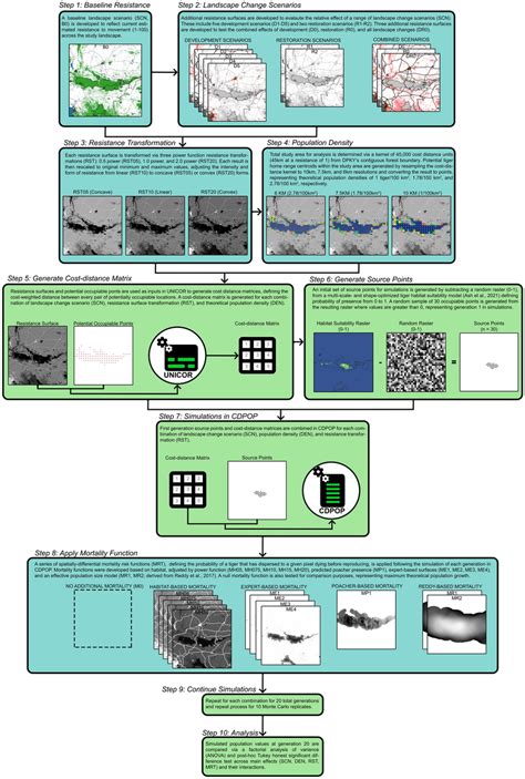 diagram depicting methods workflow including development of landscape