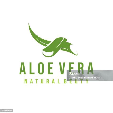 알로에 베라 미니멀리스트 디자인 벡터 템플릿 일러스트 레이 션 0명에 대한 스톡 벡터 아트 및 기타 이미지 0명 가시 건강관리와 의술 Istock
