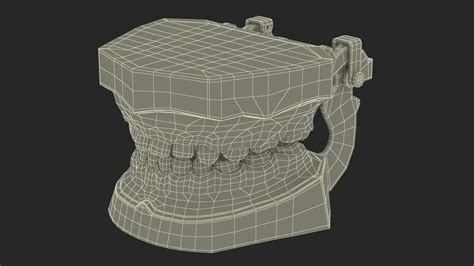Dental Anatomy Educational Pediatric Kit With Removable Open Bite Teeth